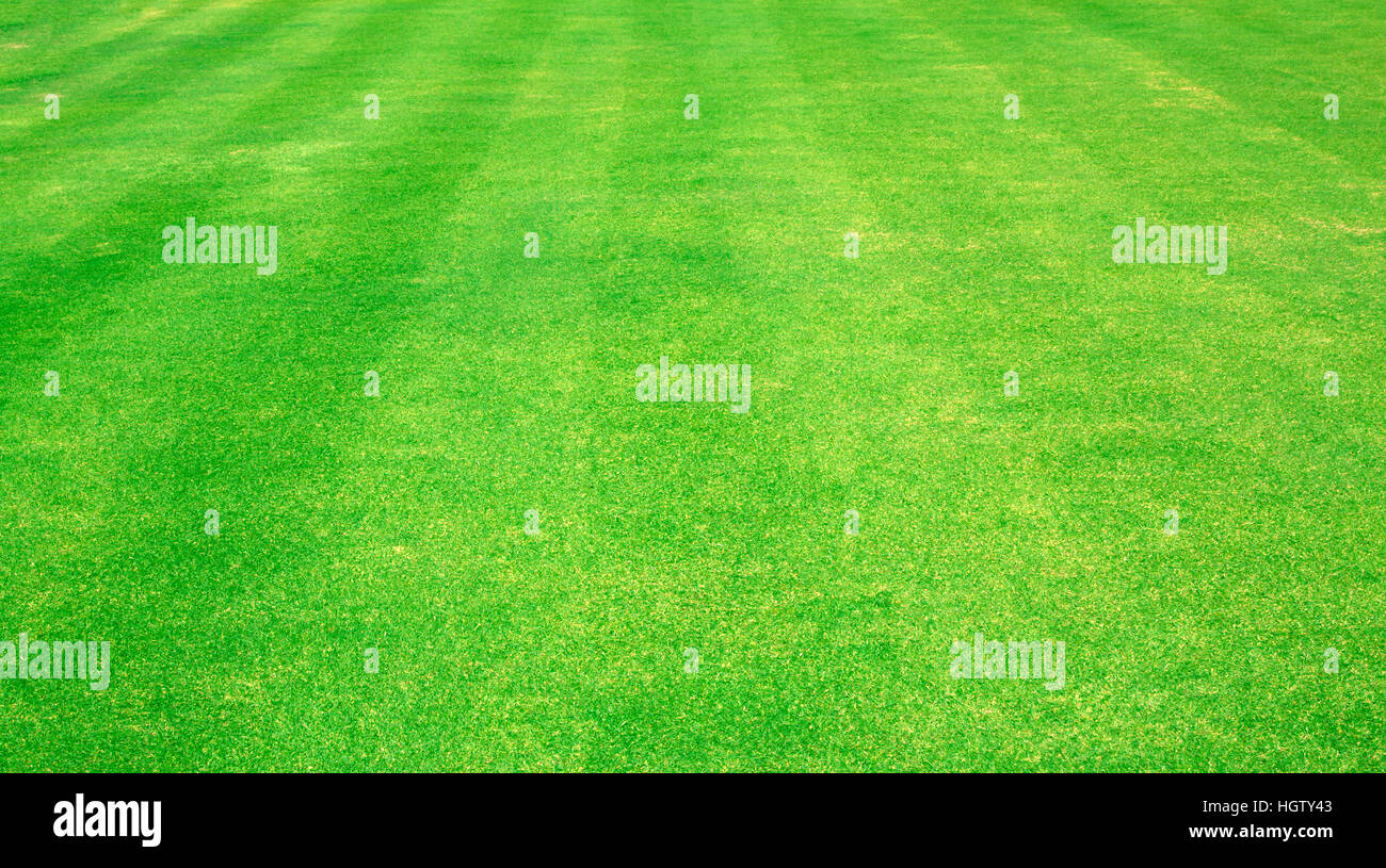 Football field green grass pattern textured background Stock Photo - Alamy