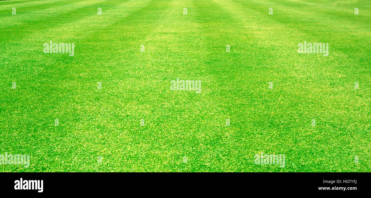 Football field green grass pattern textured background Stock Photo - Alamy