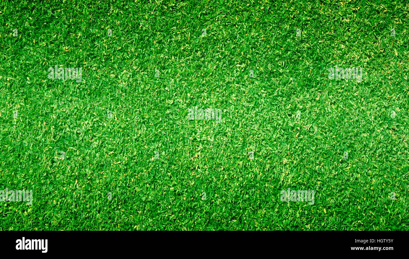 grass background Golf Courses green lawn pattern textured background ...