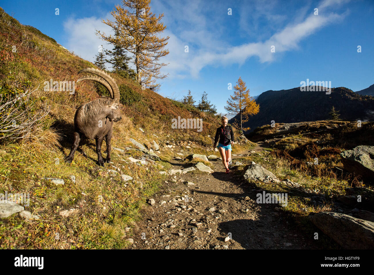 Trail Running, Chamonix, France Stock Photo - Alamy