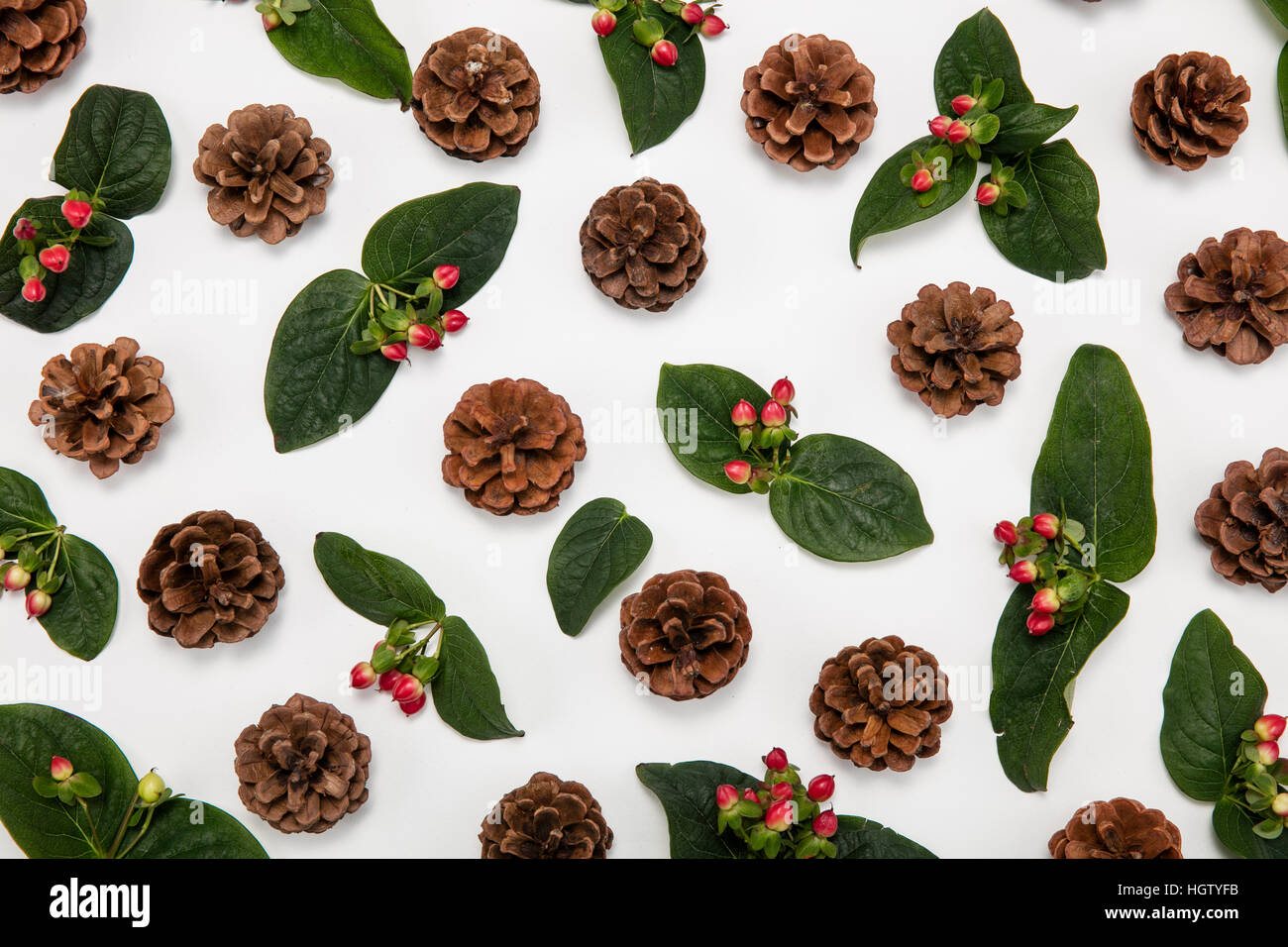 Patterns of pinecones, fruits and leaves Stock Photo - Alamy