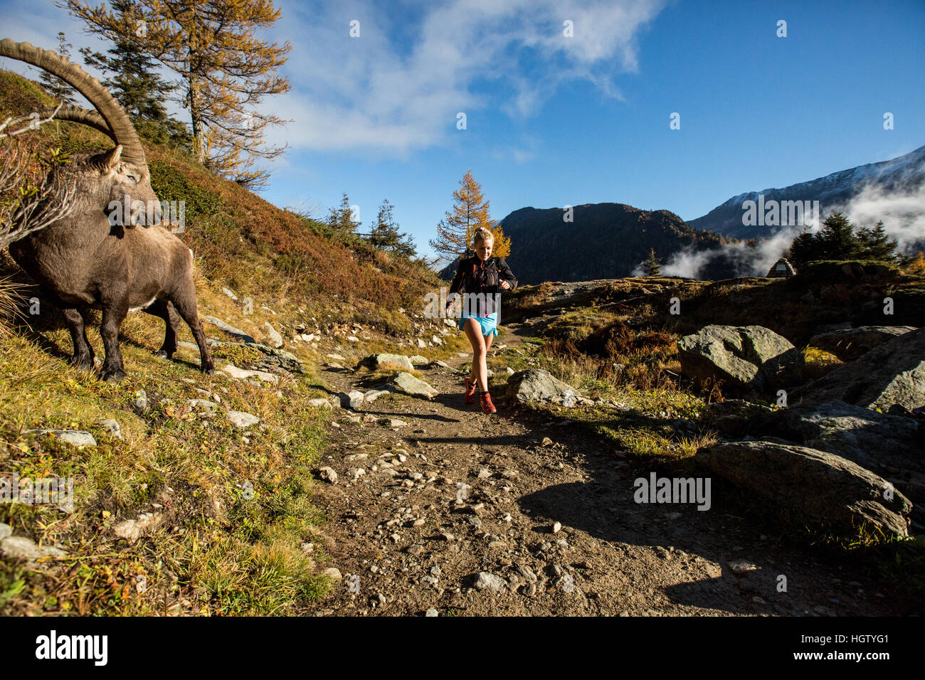 Trail Running, Chamonix, France Stock Photo - Alamy