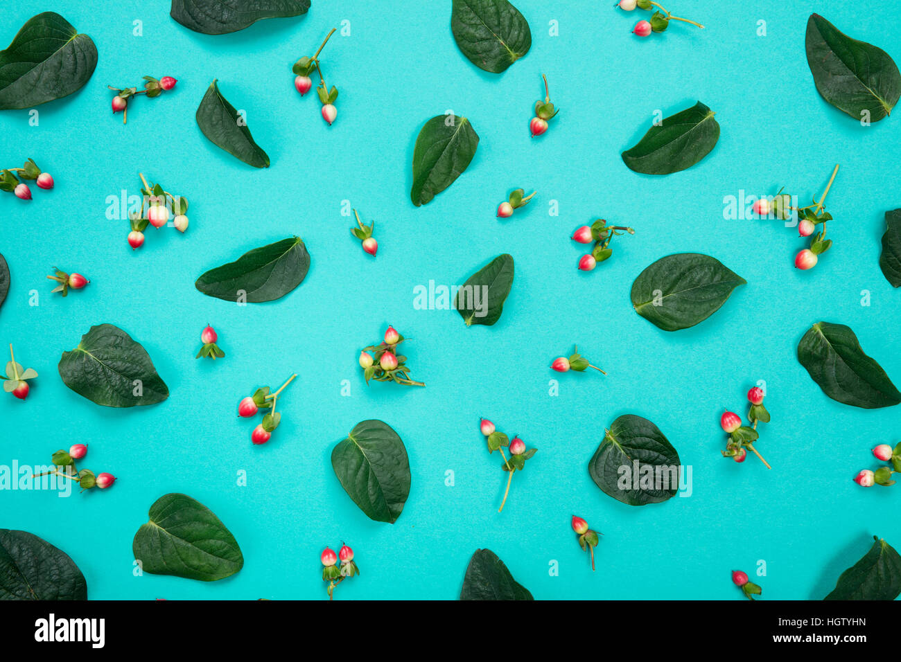 Plants patterns hi-res stock photography and images - Alamy