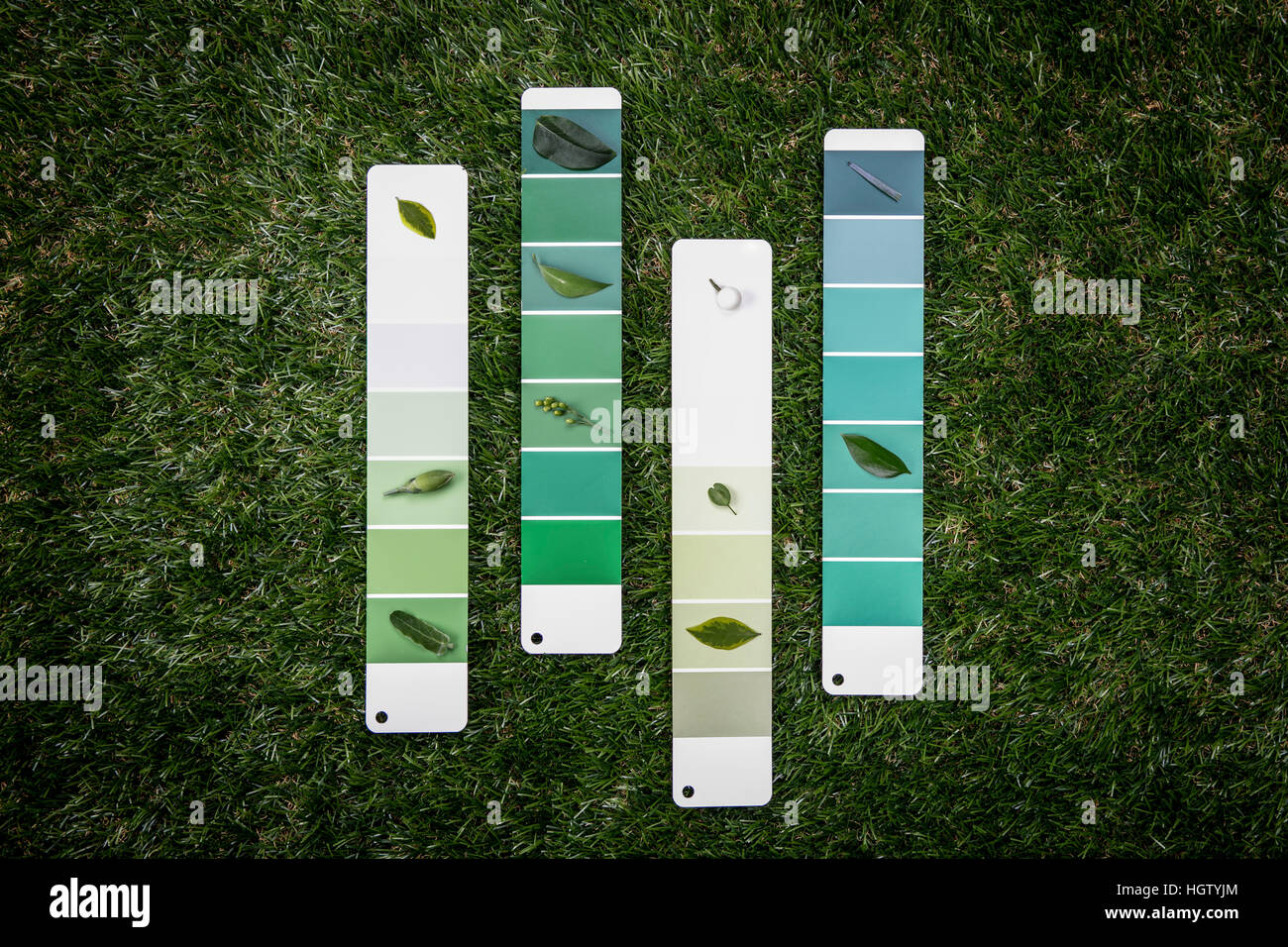 Fresh green leaves hi-res stock photography and images - Alamy