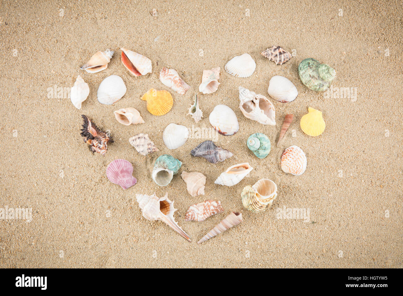 Seashells on beach representing summer vacation Stock Photo - Alamy