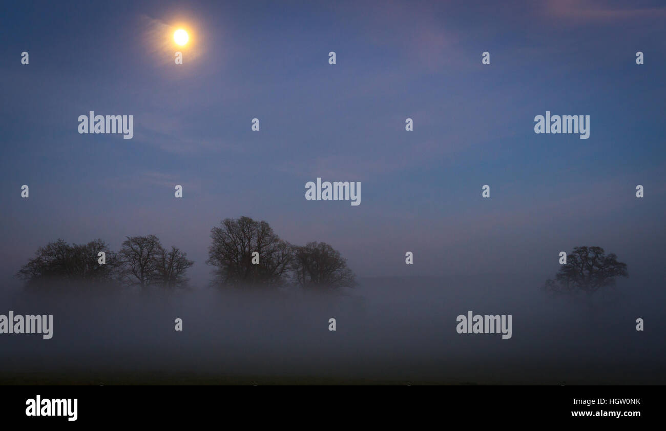 Fog moon hi-res stock photography and images - Alamy