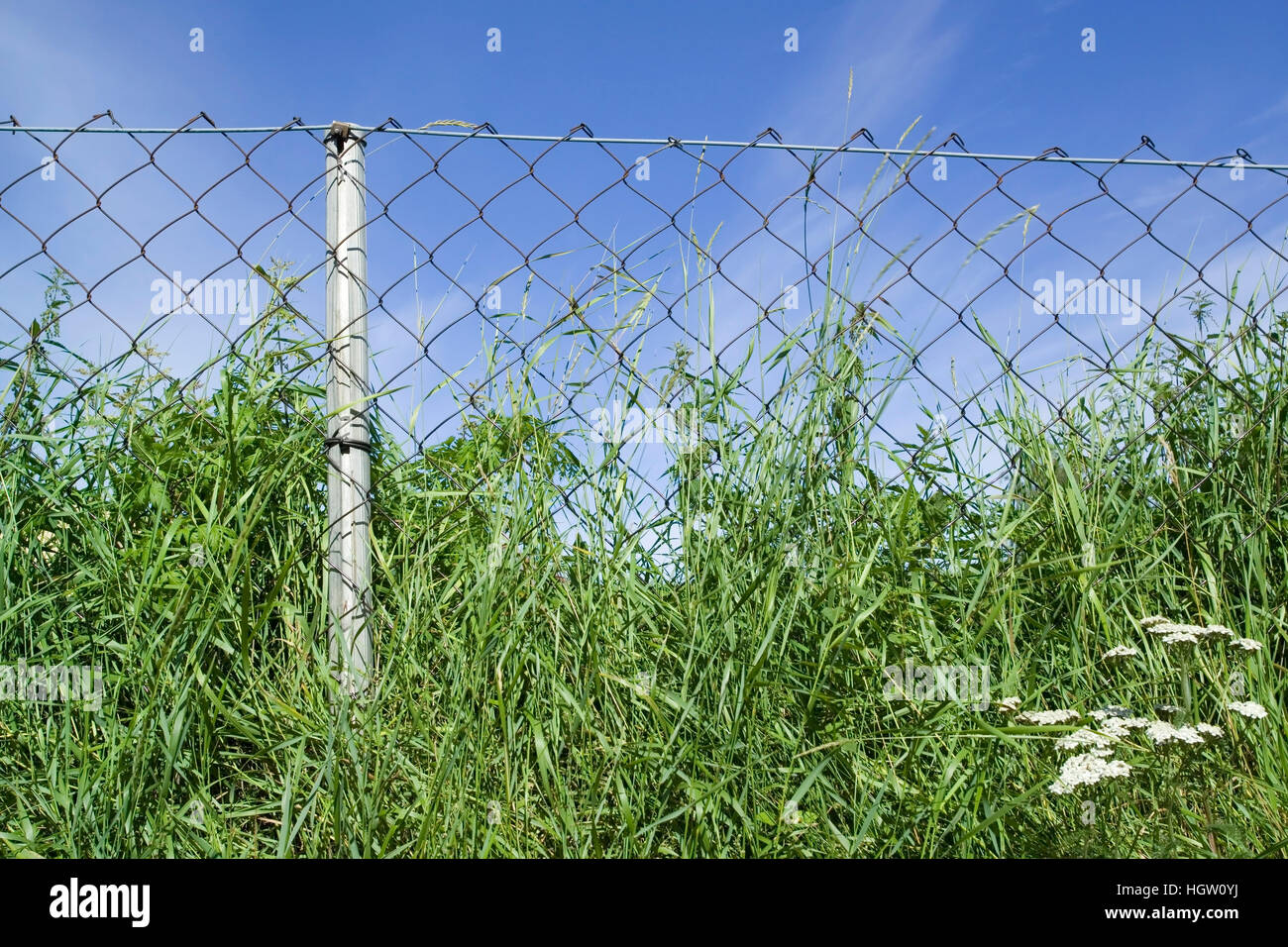 Fenced In Field Stock Photo - Alamy
