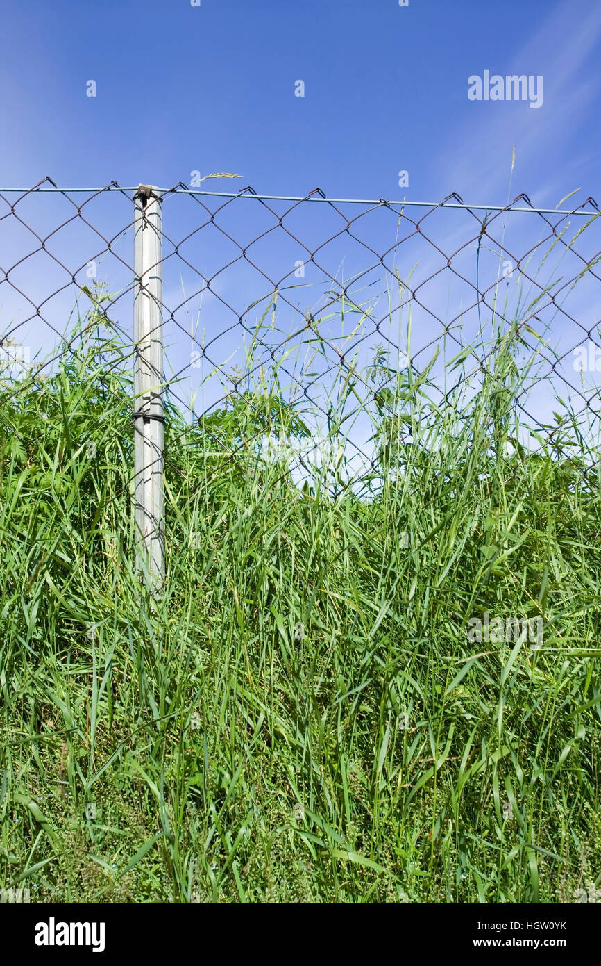 Fenced In Field Stock Photo - Alamy
