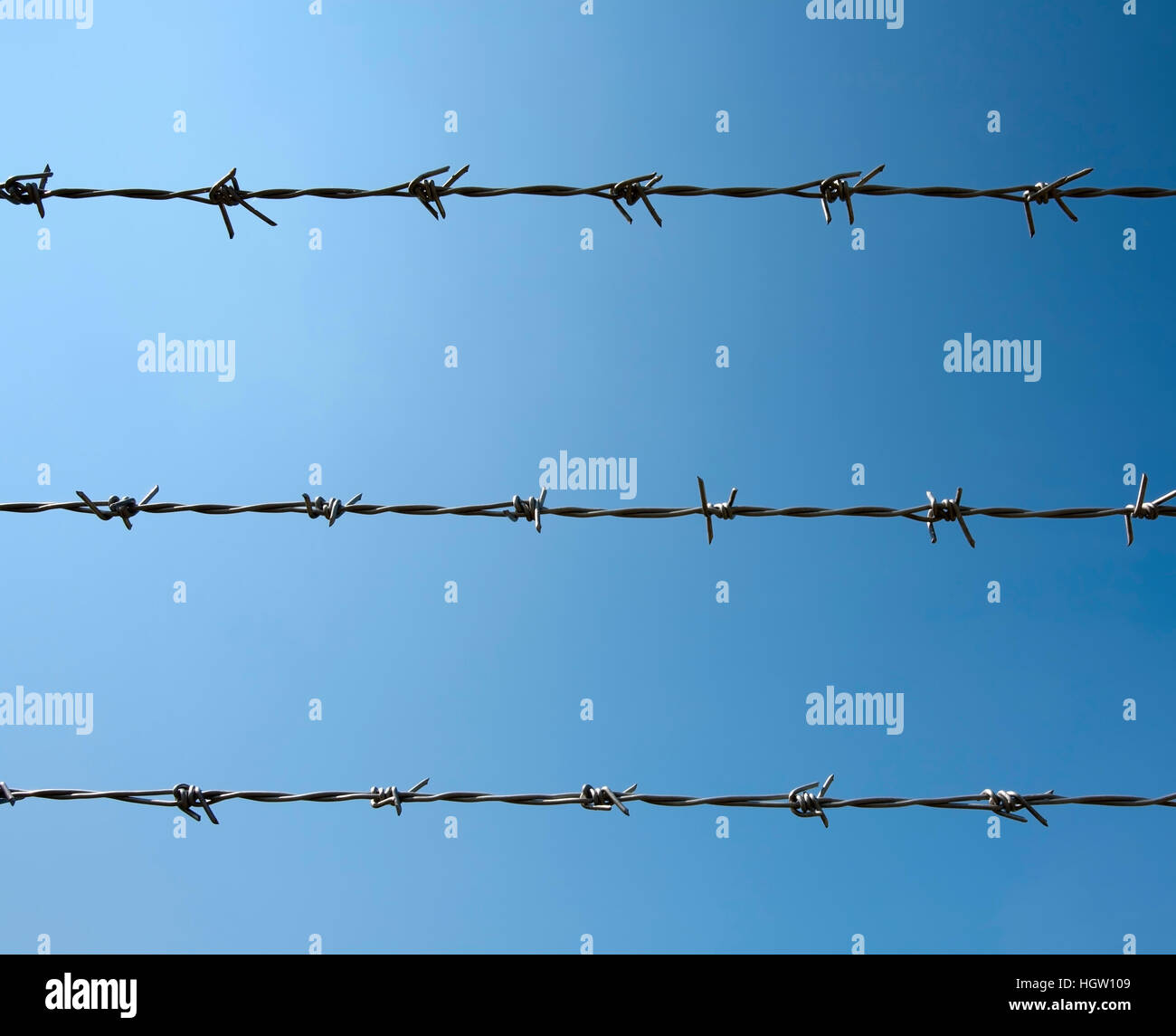 Barbed Wire Lines Stock Photo - Alamy