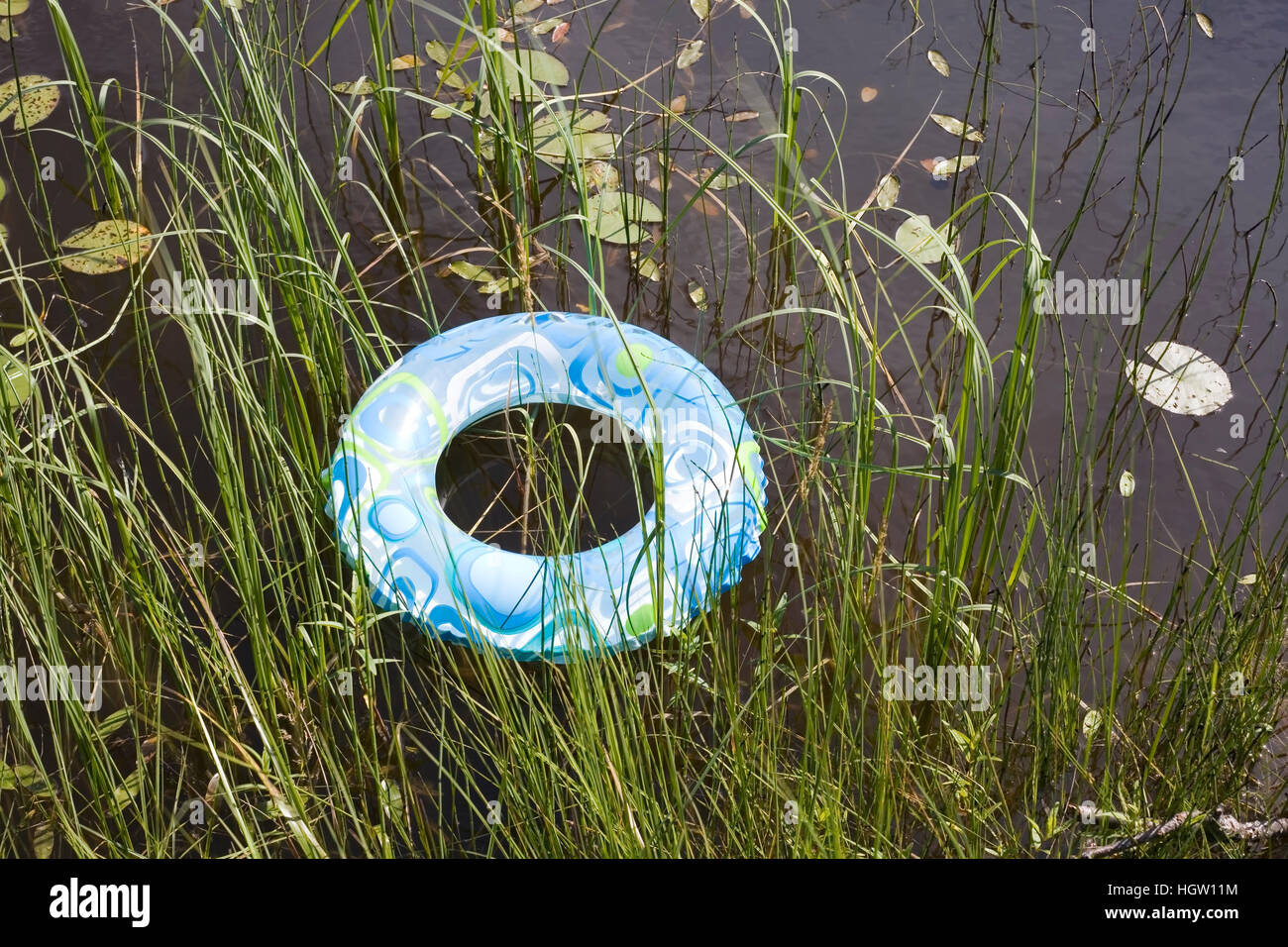 Inner Tube Floating In Pond Stock Photo - Alamy
