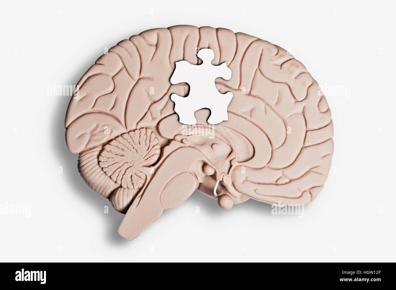 Puzzle piece brain hi-res stock photography and images - Alamy