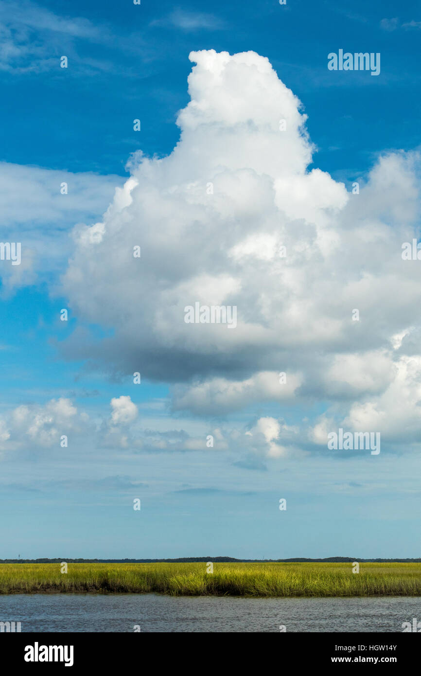 Georgia marsh hi-res stock photography and images - Alamy