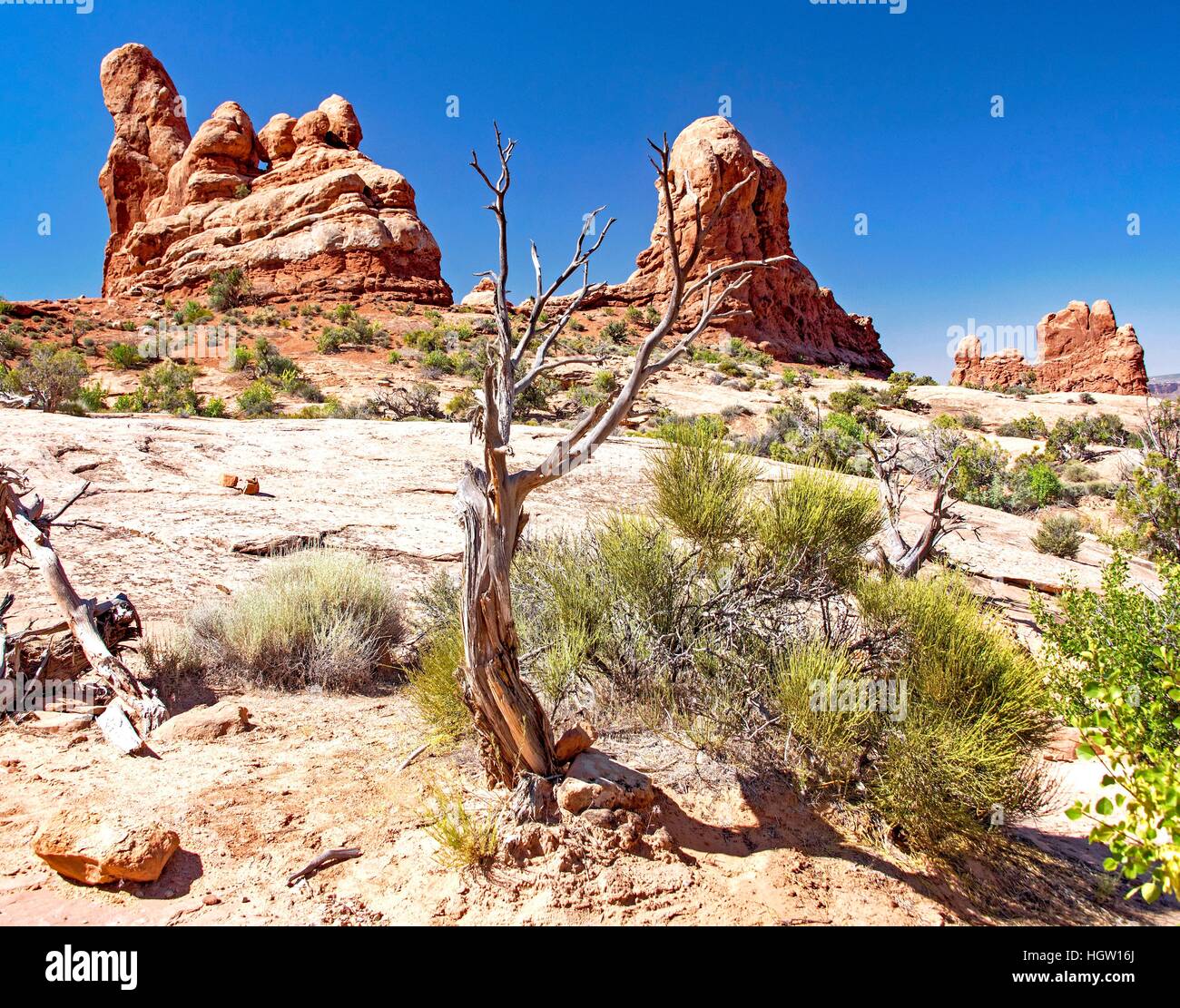 High Desert Ecosystem, Arches National Park, Moab, Utah Stock Photo - Alamy