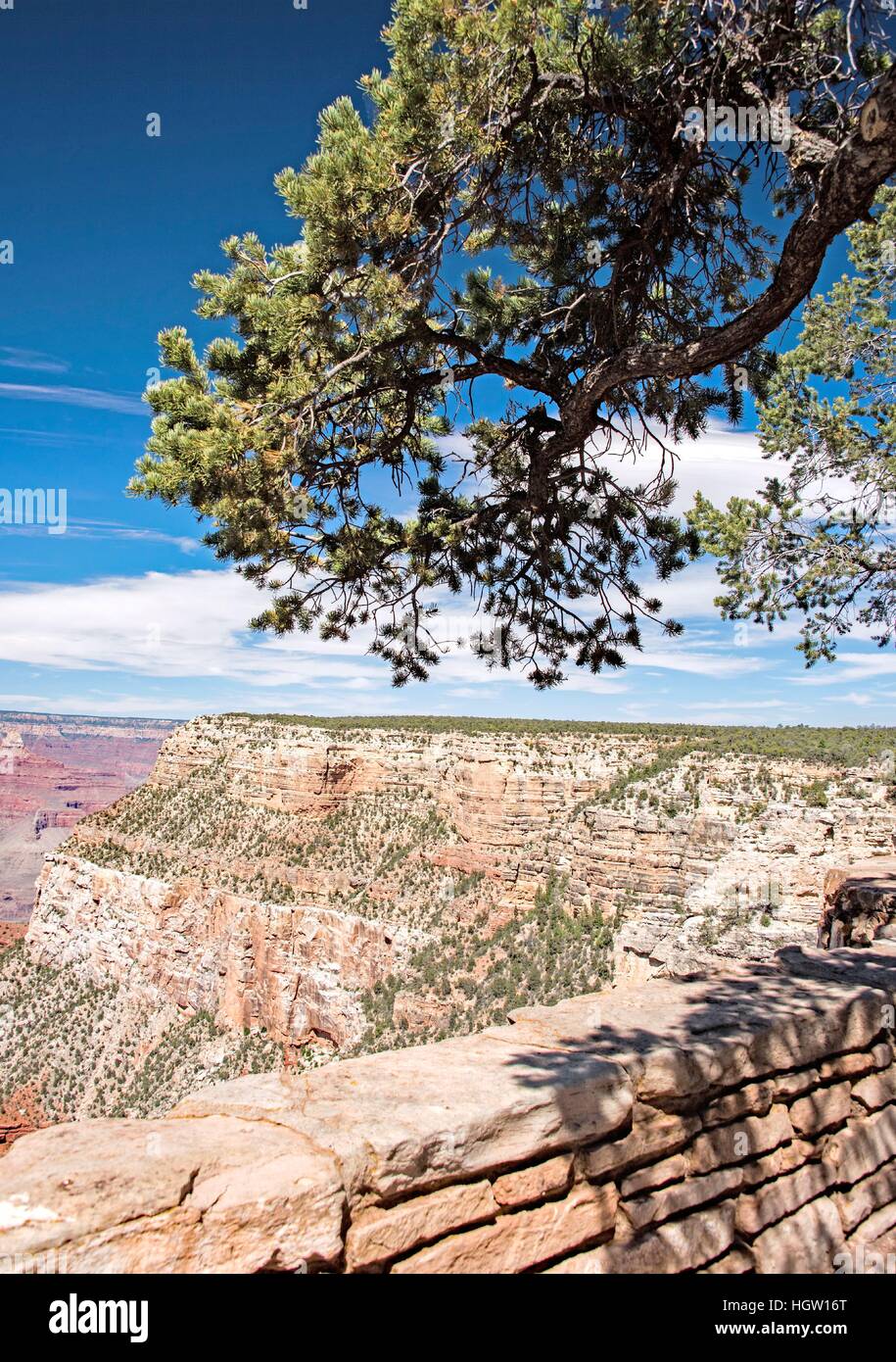 South Rim Overlook, Grand Canyon, Arizona Stock Photo - Alamy