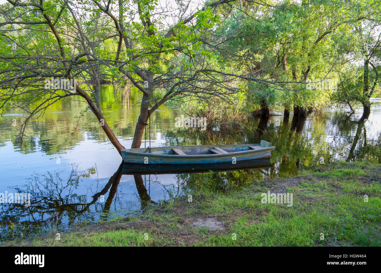 the old boat near the tree that stands in water Stock Photo - Alamy