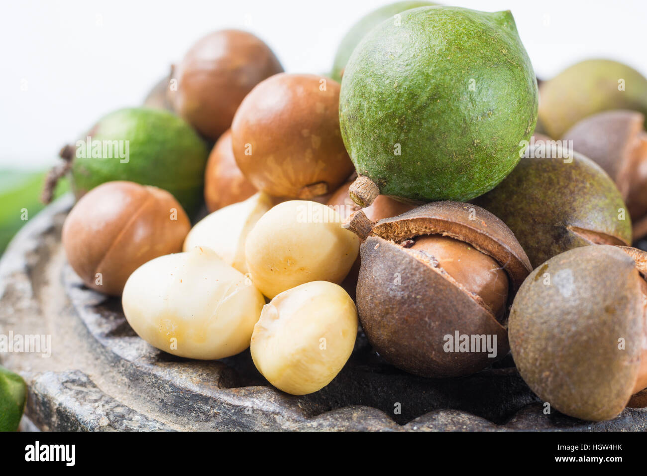 Macadamia nuts harvest close up Stock Photo - Alamy