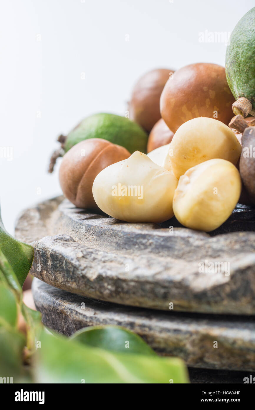 Macadamia nuts harvest close up Stock Photo - Alamy