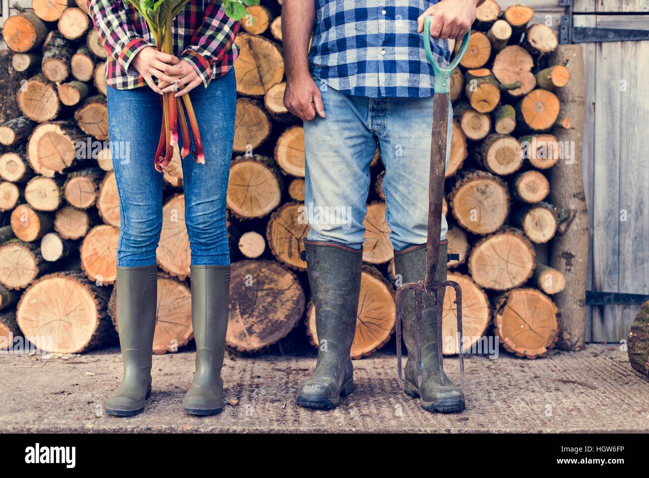 Firewood Fuelwood Lumber Timber Lumber Log Concept Stock Photo - Alamy