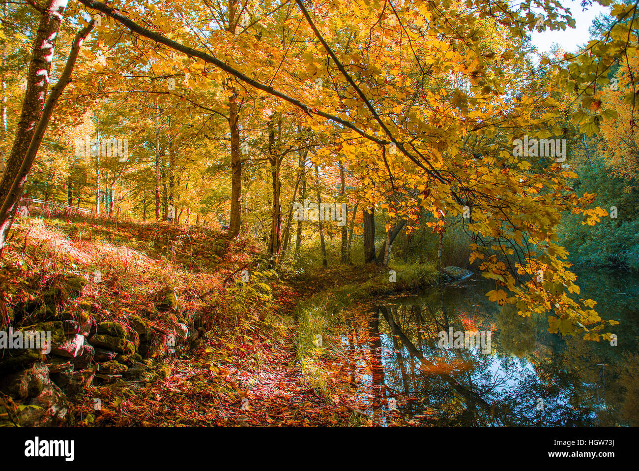 Atmosphere and the colors of autumn in Italy Stock Photo - Alamy