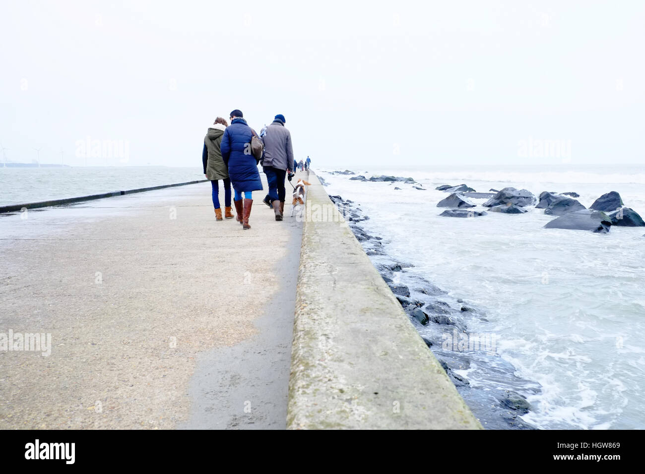 Family and dog on pier by the ocean. Back view Stock Photo - Alamy