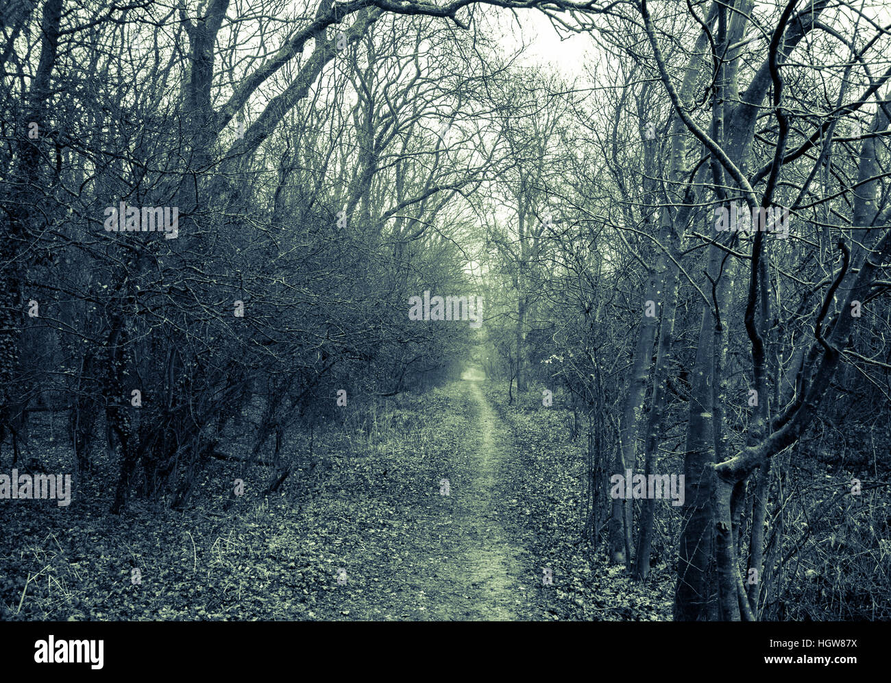Scary park hi-res stock photography and images - Alamy