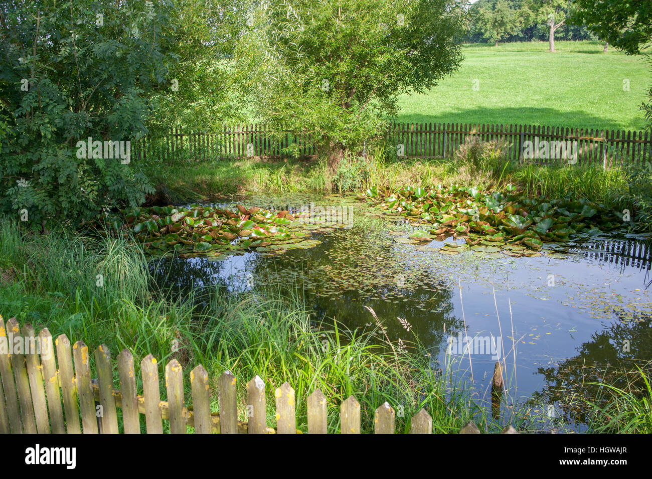 Old village pond in sailach hi-res stock photography and images - Alamy