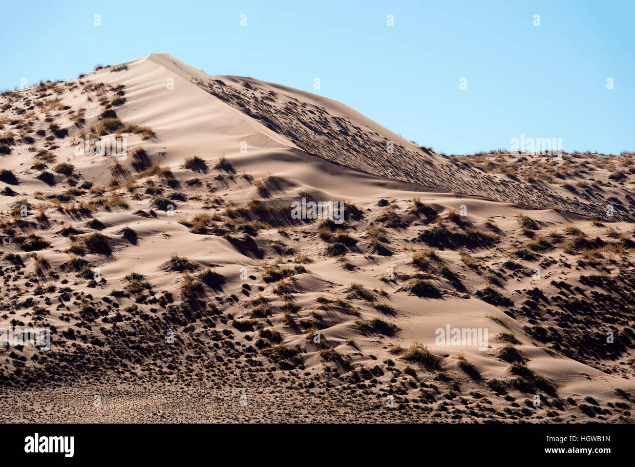 Elim hi-res stock photography and images - Alamy