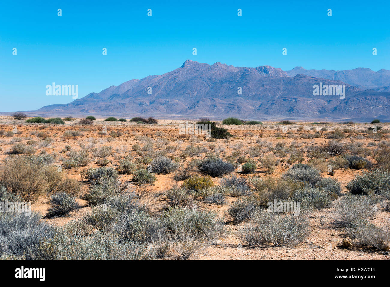 Brandberg namibia hi-res stock photography and images - Alamy