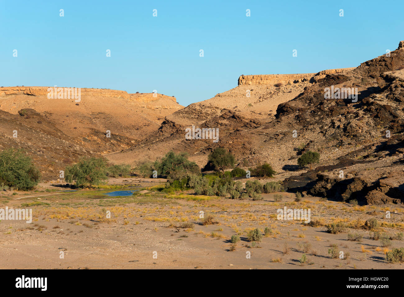 Gaub hi-res stock photography and images - Alamy