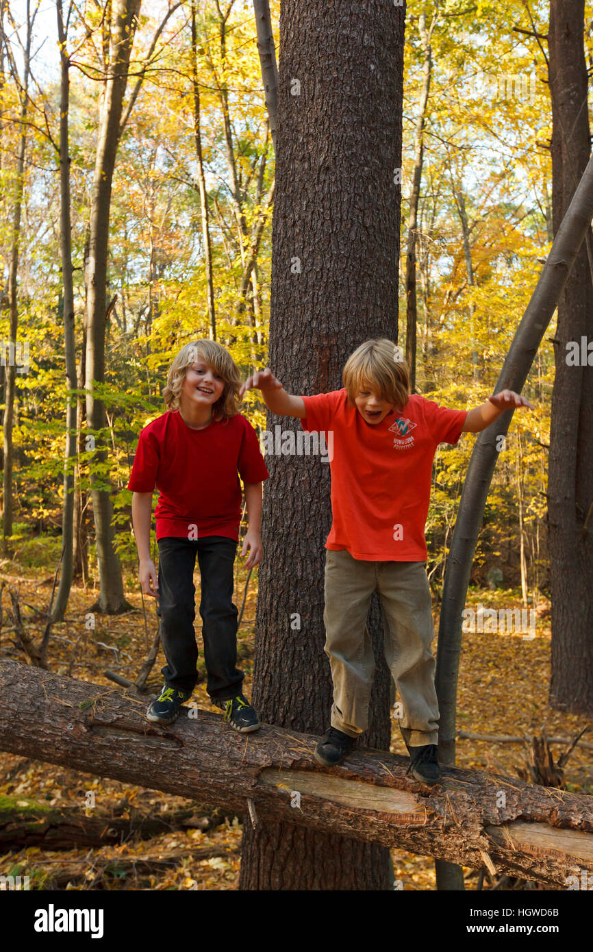 Two nine year old boys play on a downed tree in the forest at Elmwood ...