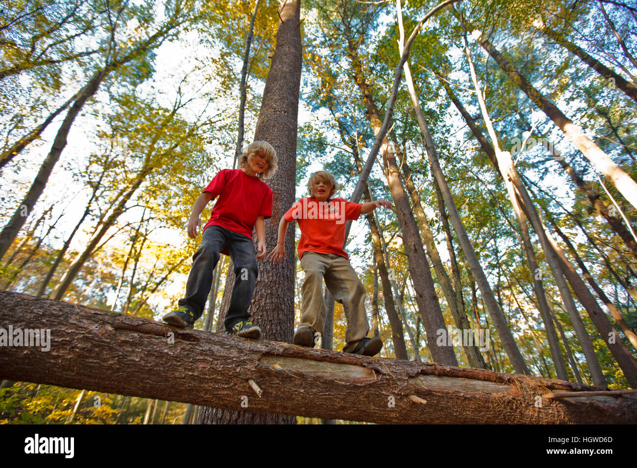 Two nine year old boys play on a downed tree in the forest at Elmwood ...