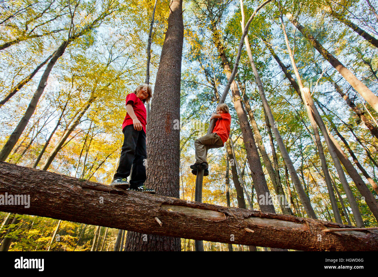 Two nine year old boys play on a downed tree in the forest at Elmwood ...
