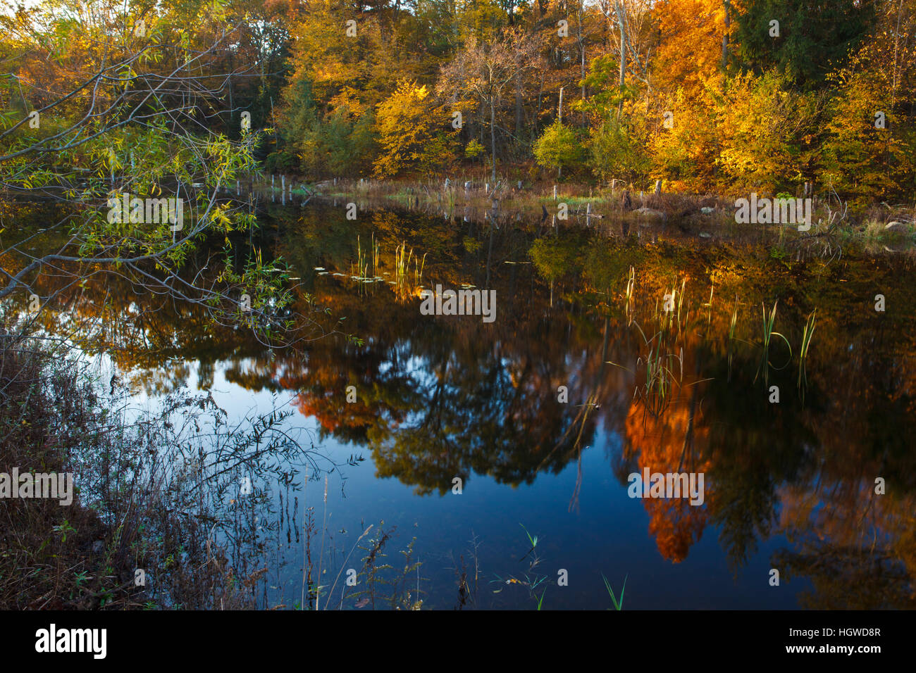 Hopkinton hi-res stock photography and images - Alamy