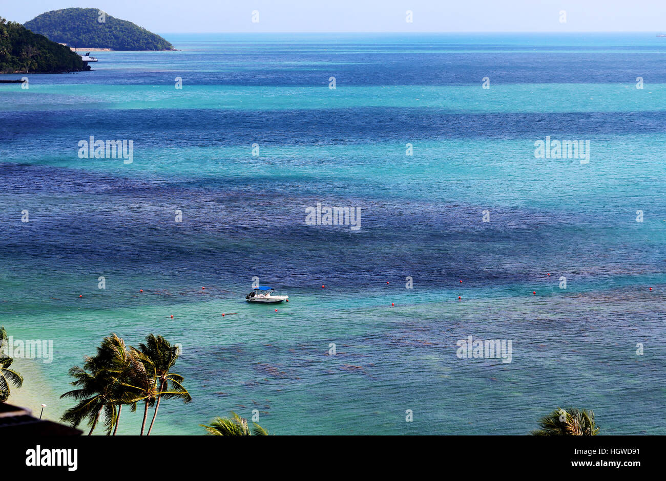 Photos landscape exotic coast of the island with palm trees Stock Photo ...