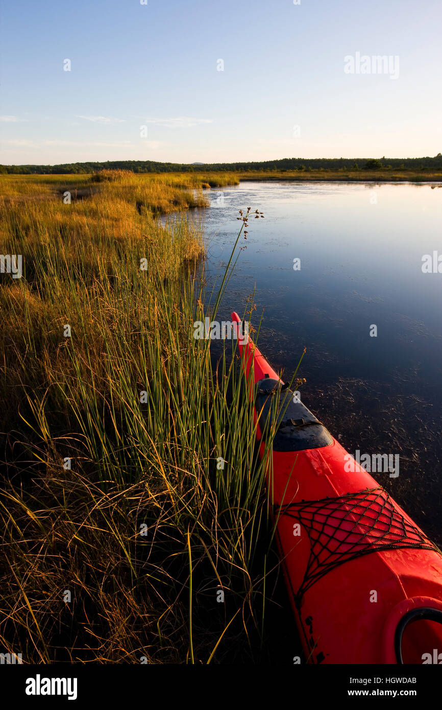 Kayak bar harbor maine hi-res stock photography and images - Alamy