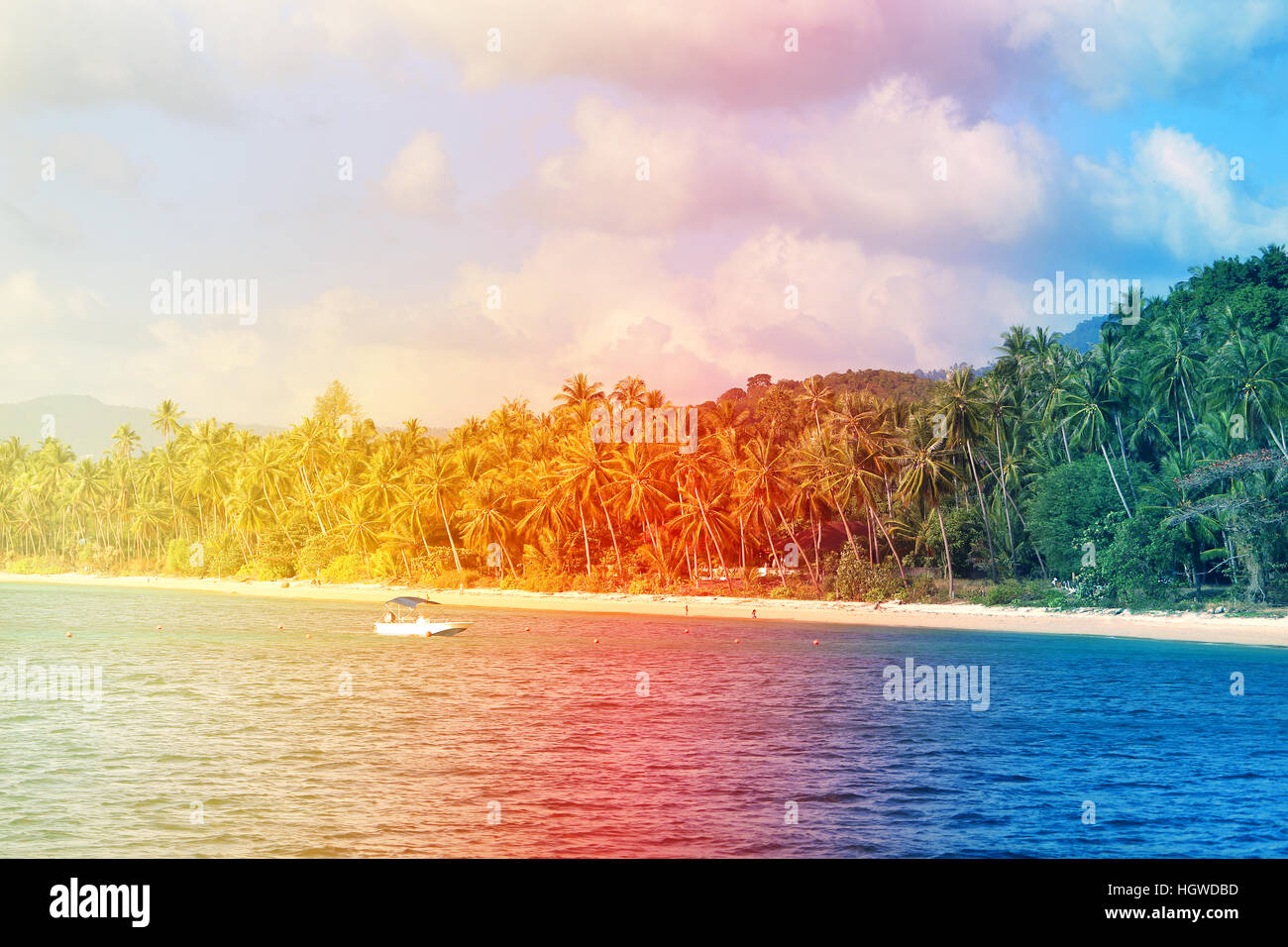 Photos landscape exotic coast of the island with palm trees Stock Photo ...