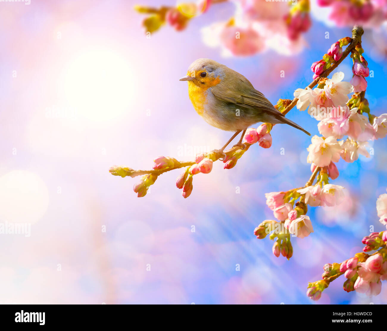 Good morning nature hi-res stock photography and images - Alamy