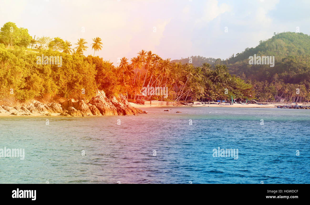 Photos landscape exotic coast of the island with palm trees Stock Photo ...