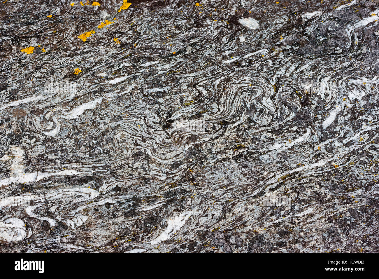 Patterns in metamorphic rock at Wonderland in Maine's Acadia National ...