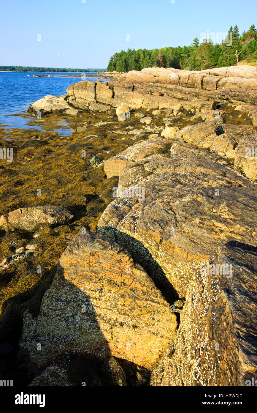 Rocky shoreline at the Nature Conservancy's Blagden Preserve at Indian ...