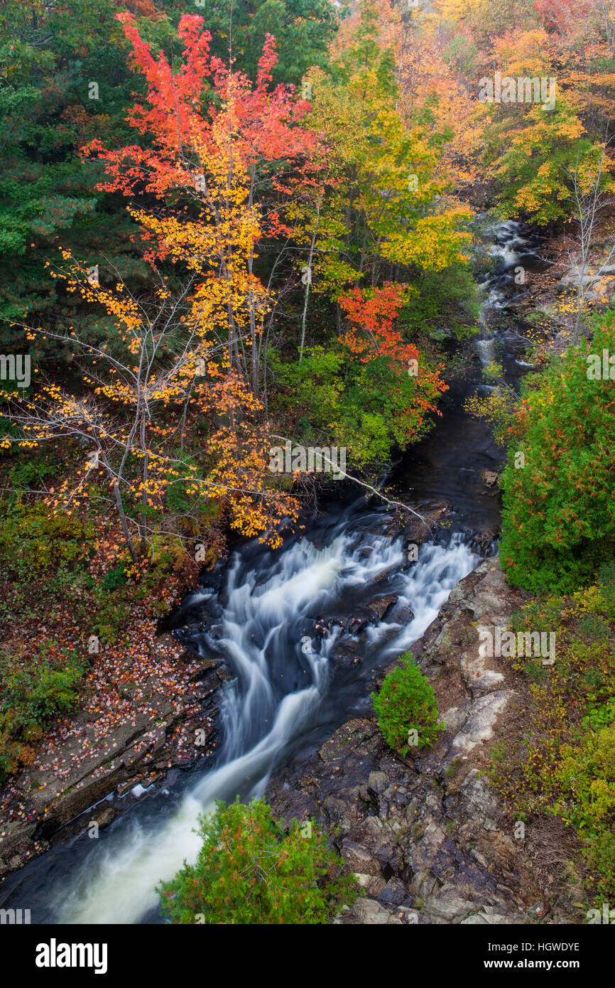 Duck Brook in fall in Maine's Acadia National Park Stock Photo - Alamy