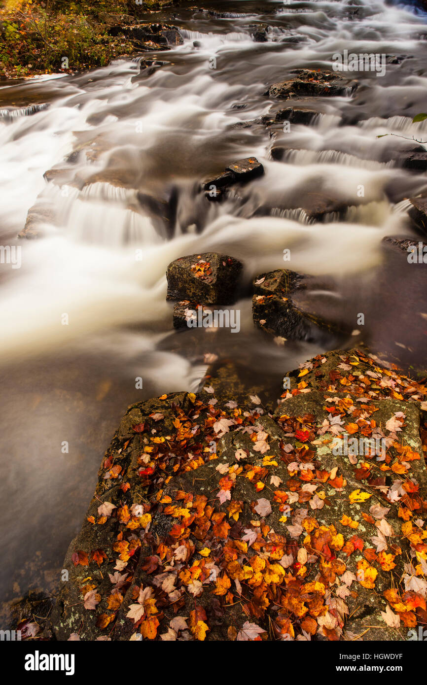 Duck Brook in fall in Maine's Acadia National Park Stock Photo - Alamy