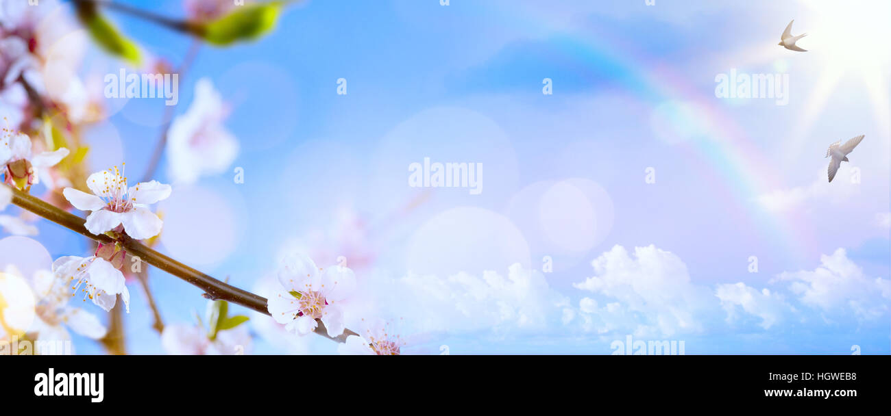 Flower background hi-res stock photography and images - Alamy