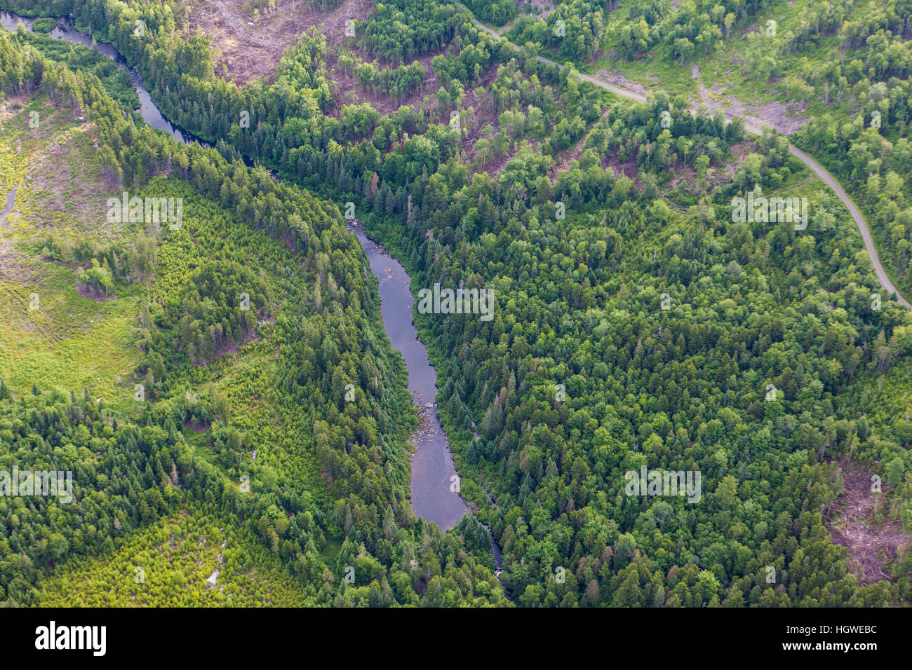 Cold Stream surrounded by industrial timberland in Maine's Northern ...