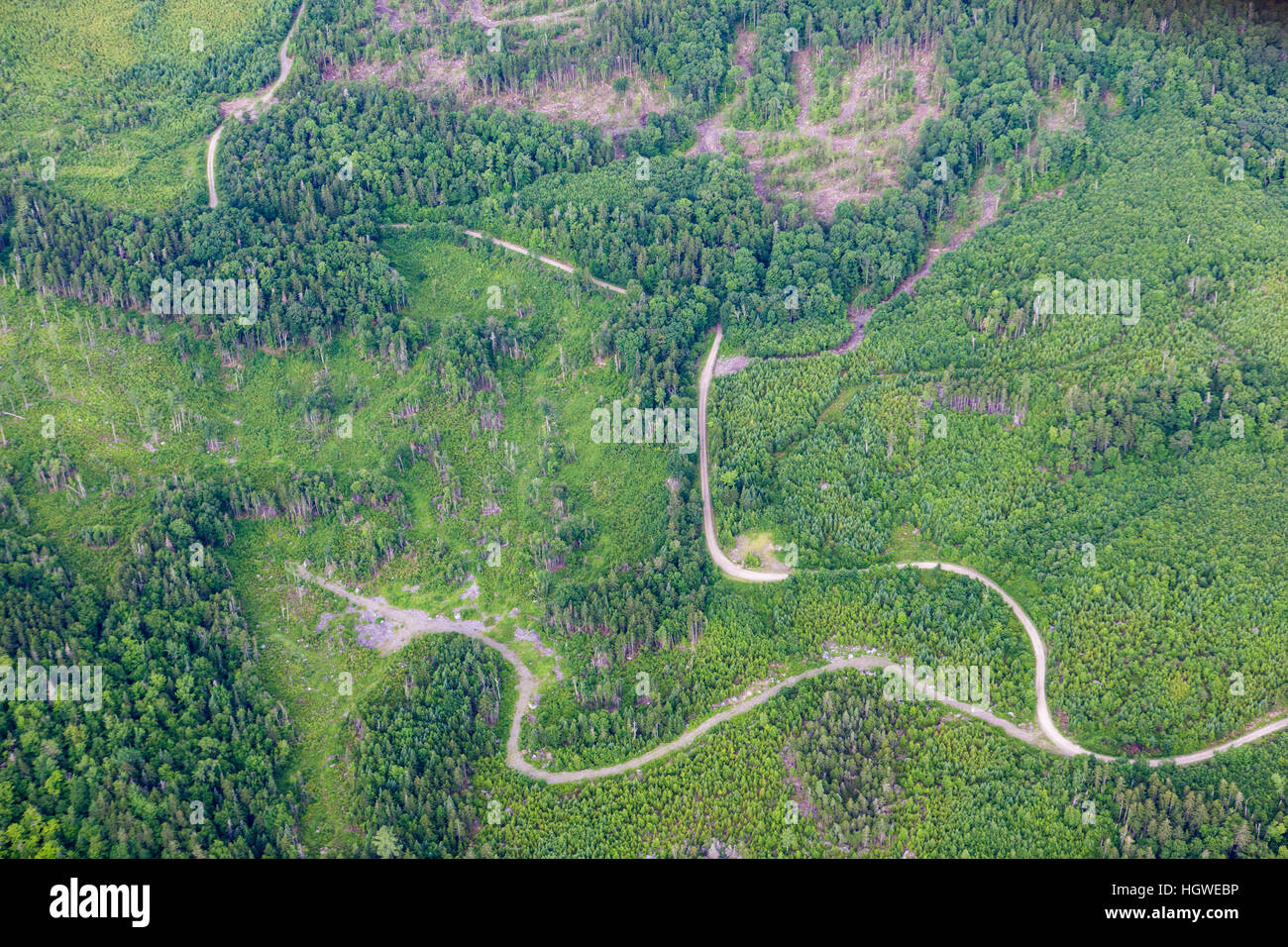 Logging roads in the Cold Stream watershed in industrial timberland in ...