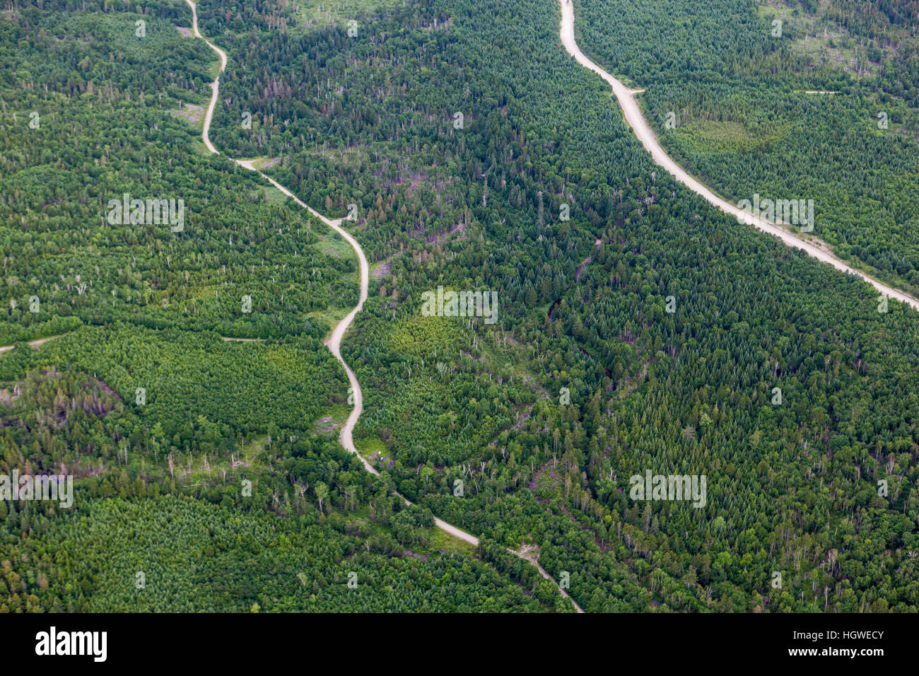 Logging roads on Coburn Mountain in industrial timberland in Maine's ...
