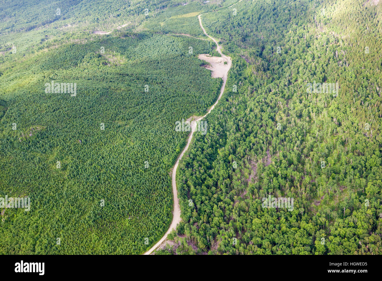 Logging roads on Coburn Mountain in industrial timberland in Maine's ...