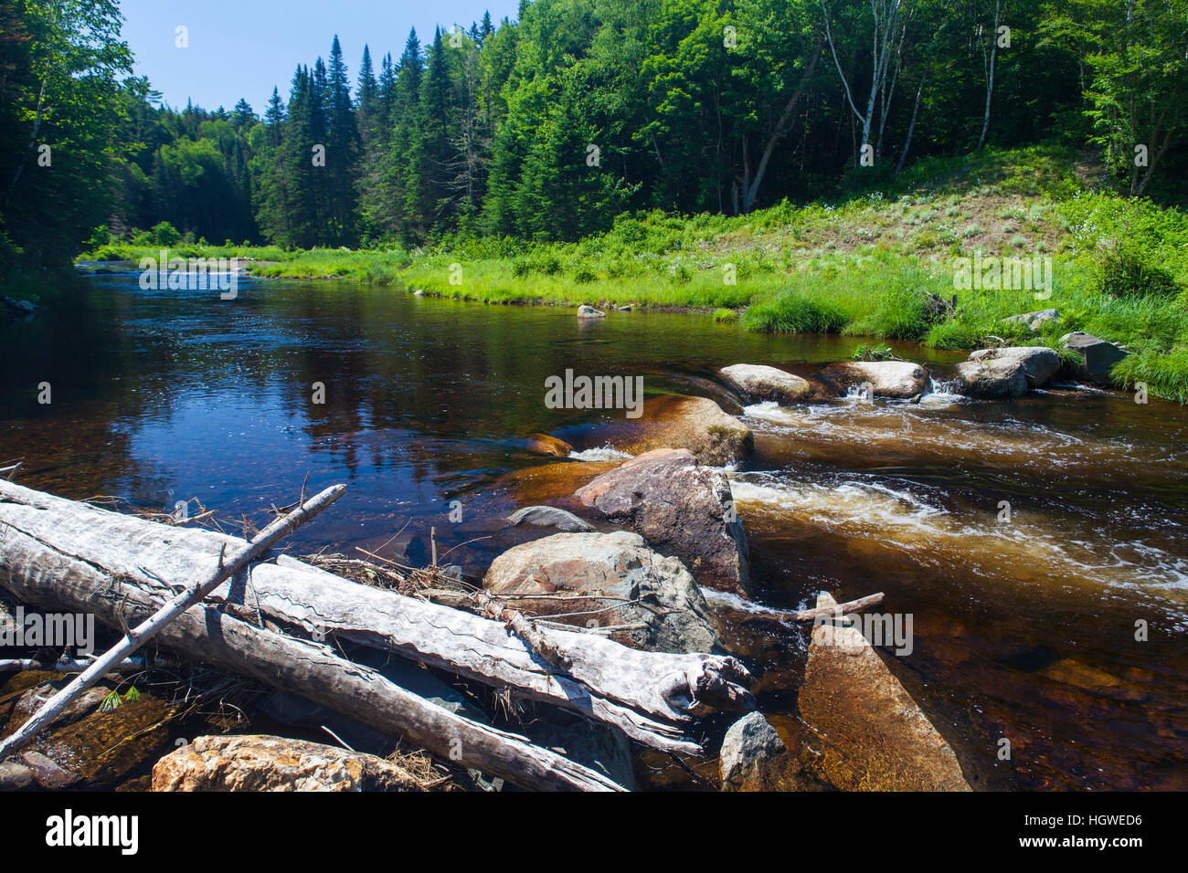 Restored stream bed in Cold Stream in Maine's Northern Forest. West ...