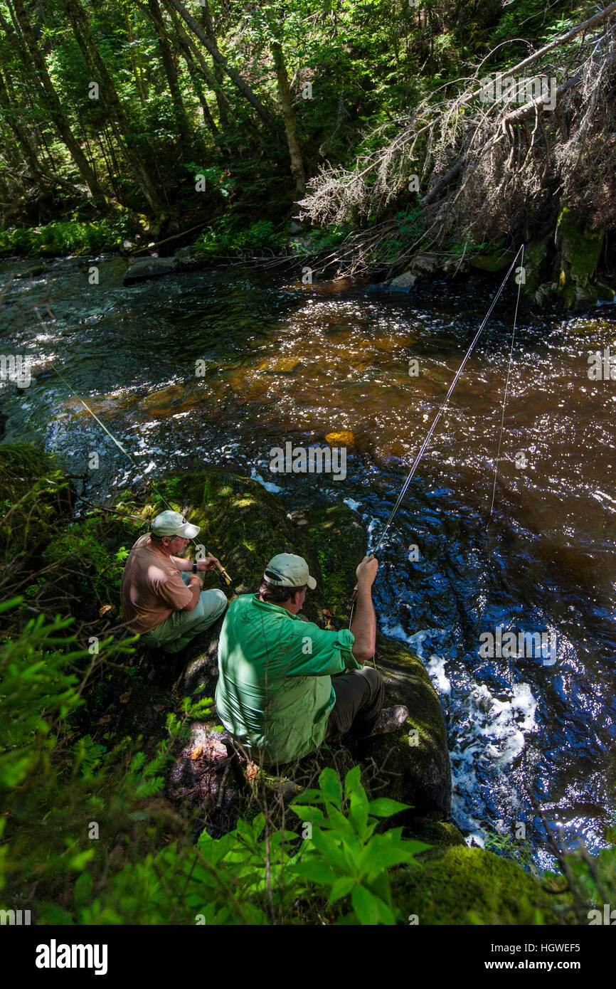 Two men fly-fishing below Cold Stream Falls in Maine's Northern Forest ...