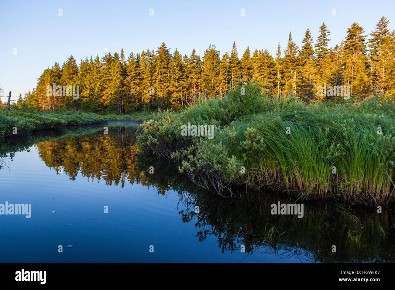 The Cold Stream "deadwater" above Upper Cold Stream Falls in Maine's ...